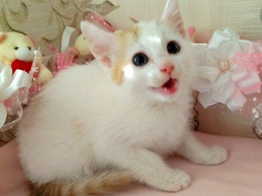 Маленький малыш с улицы