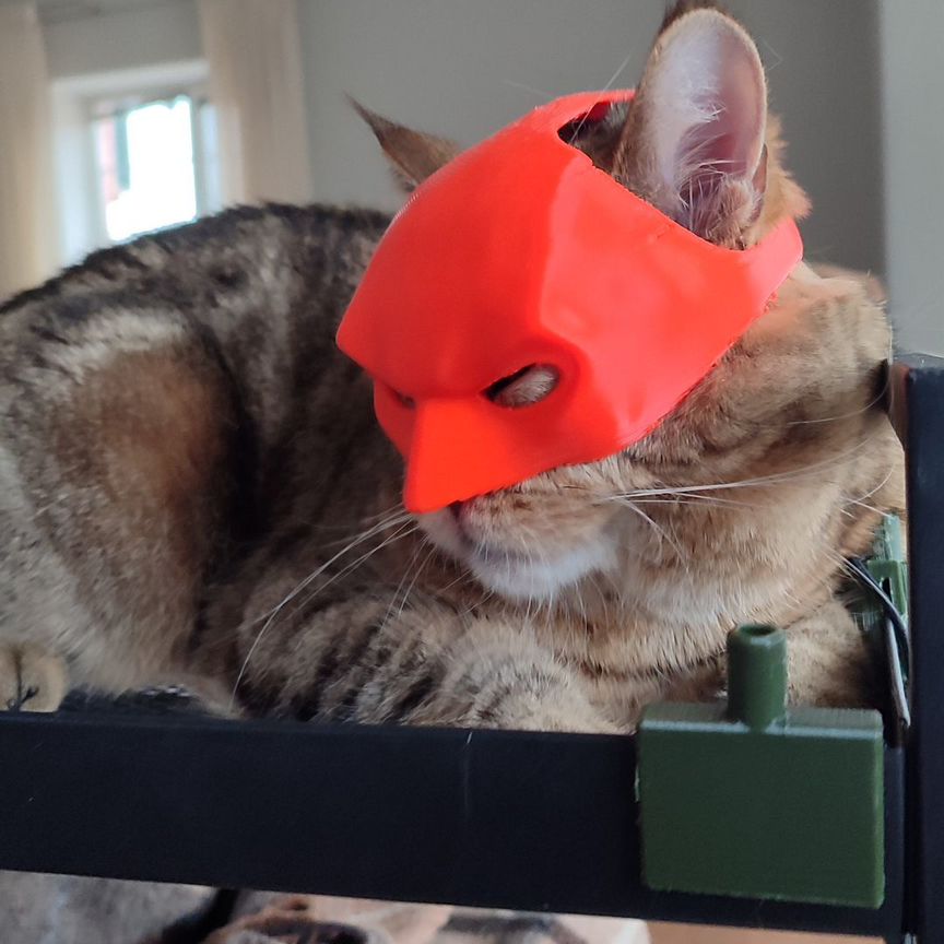 Шлем батмана на голову кота