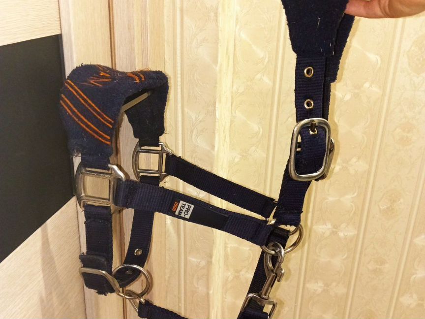 Недоуздок для пони