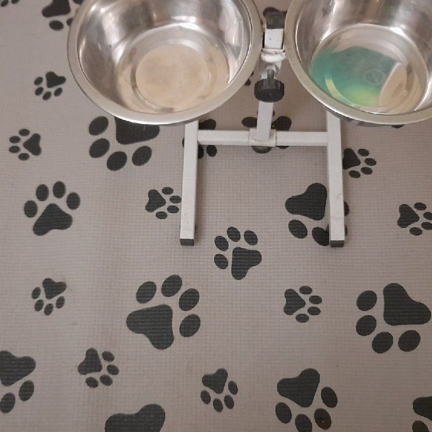 Миски и коврик для собак