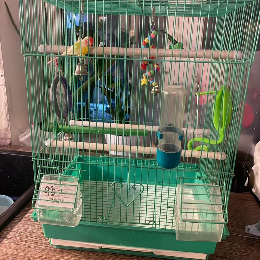 Клетка для попугая