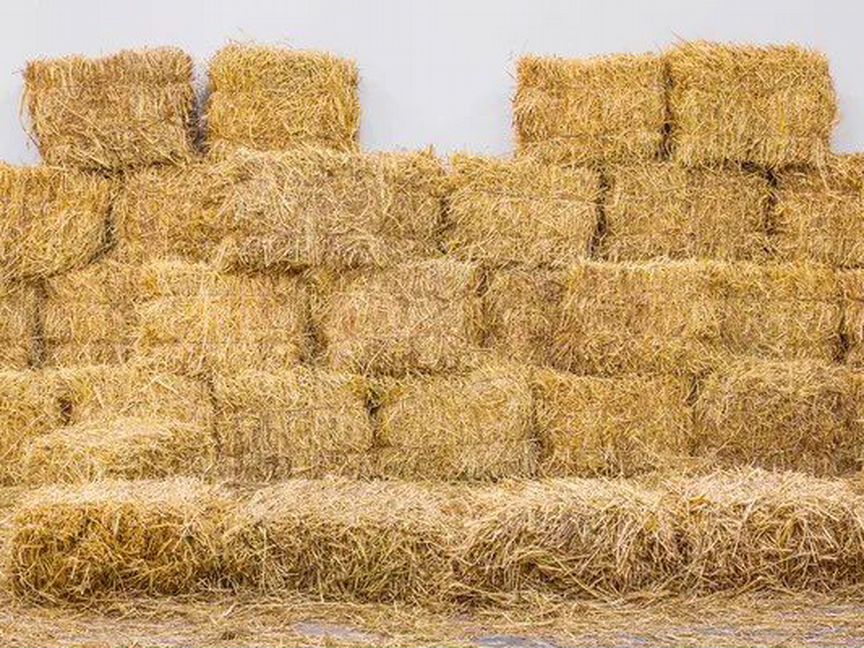 Солома ячменная в тюках