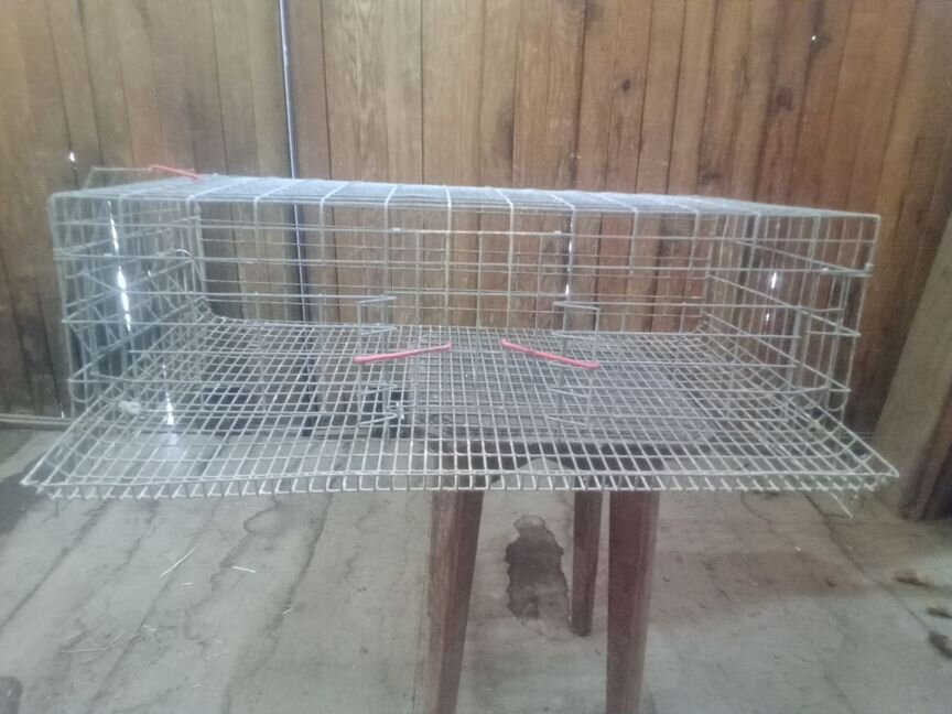 Клетки для перепелов
