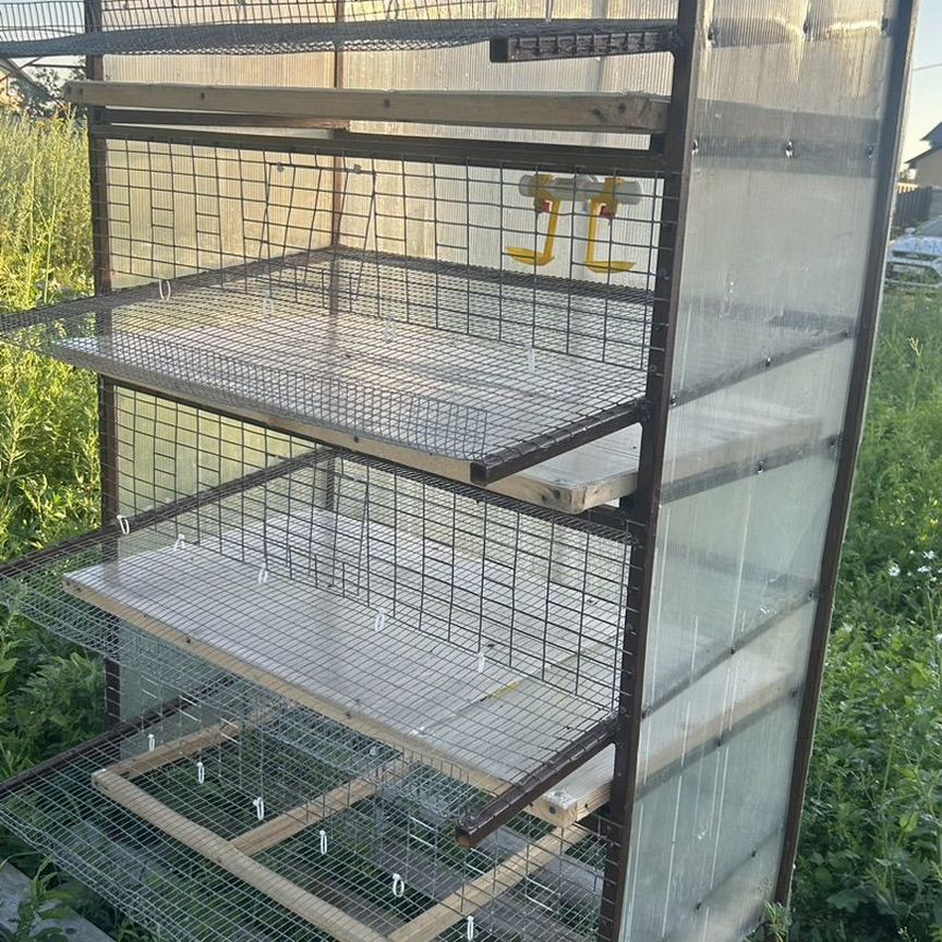 Клетка для перепелок бу