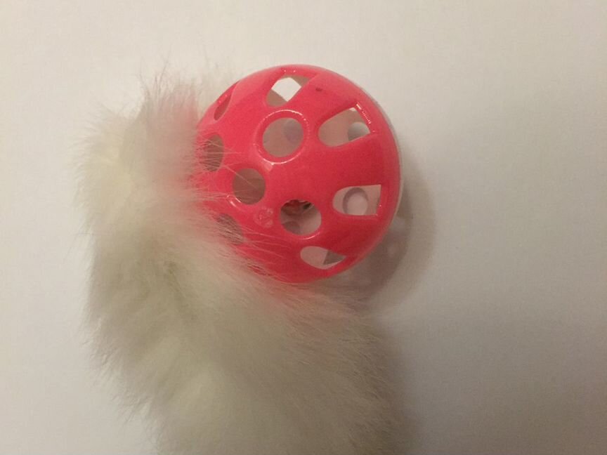 Игрушка для кошек бесплатно