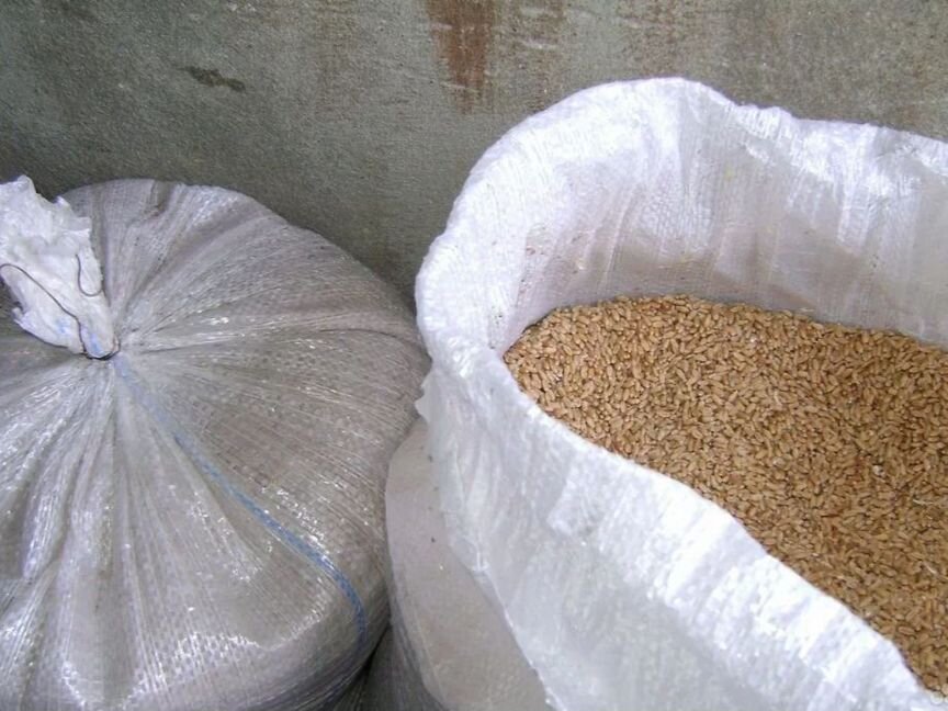 Пшеница в мешках