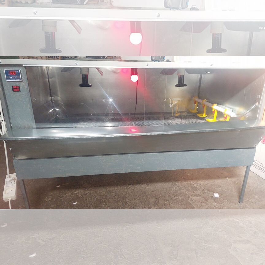 Брудер для цыплят