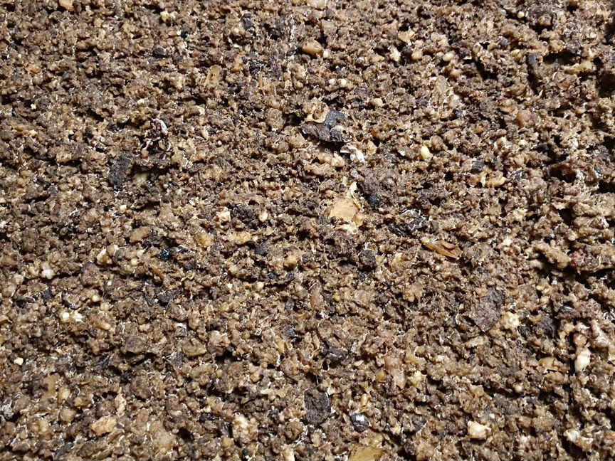 Шквара. Корм для птиц и животных