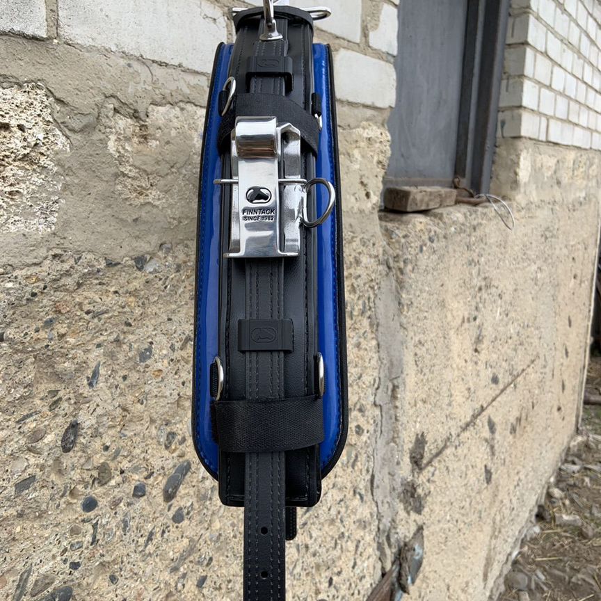 Рысачья сбруя