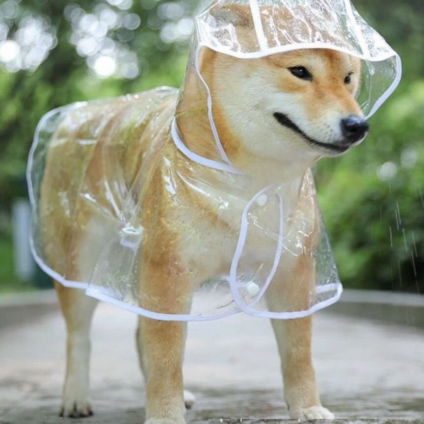 Дождевик для собаки