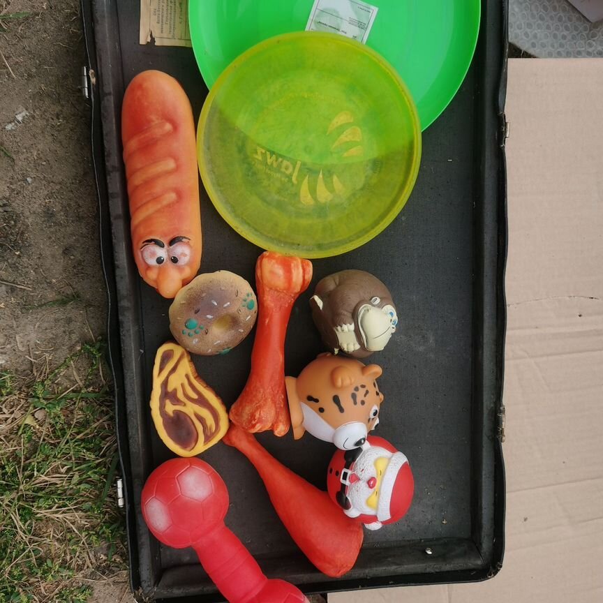 Игрушки для собак. Новые