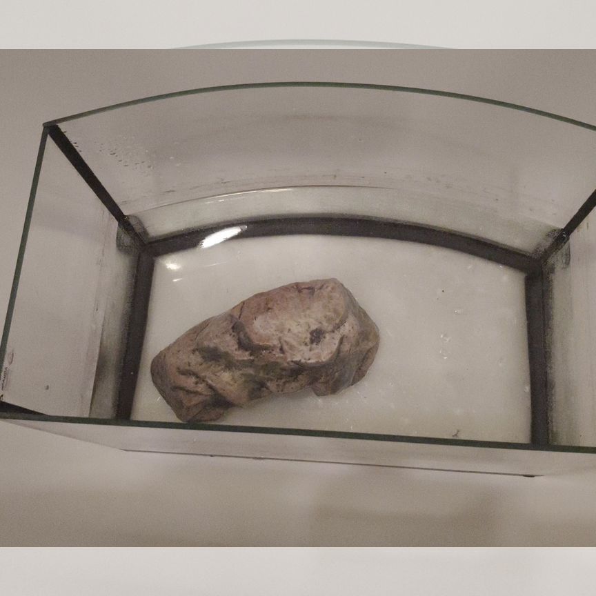 Аквариум и камень