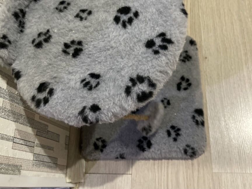 Домик лежанка для котенка