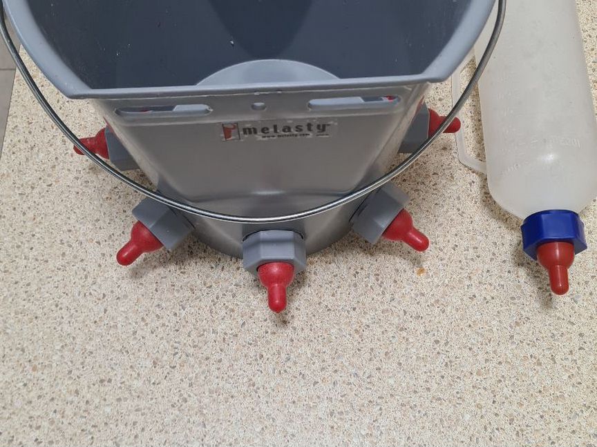 Ведро соска для поения мрс и крс