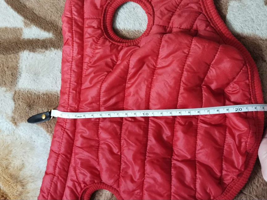 Одежда на собаку пакетом