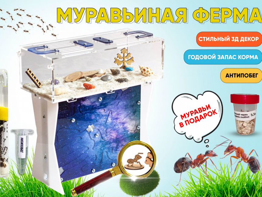 Муравьиная ферма Муравьи с доставкой