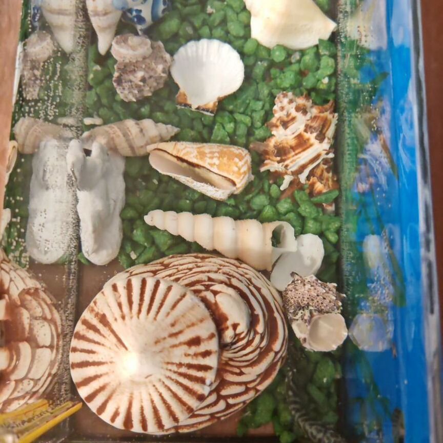 Аквариум