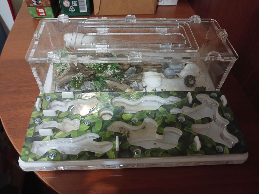 Муравьиная ферма 15*20 см