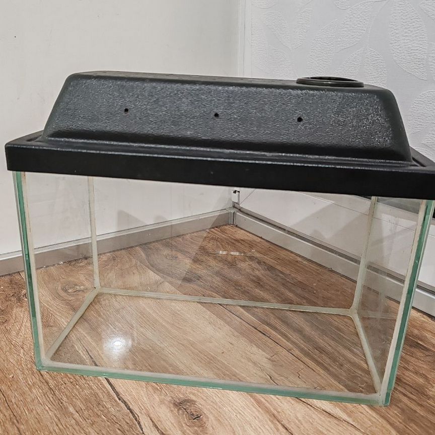 Аквариум, идеально для пауков, рептилий