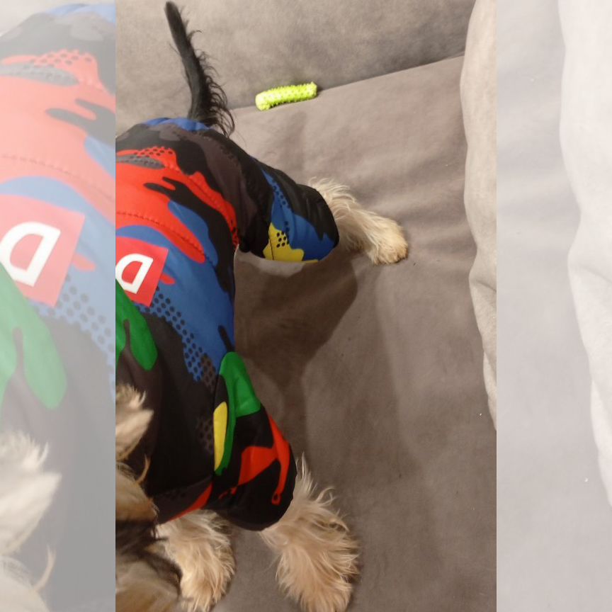 Куртка зима собачья