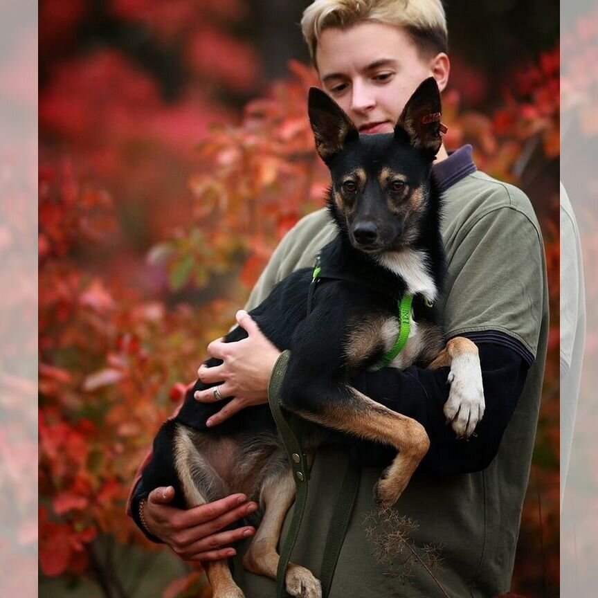 Маленькая Маська в поисках дома