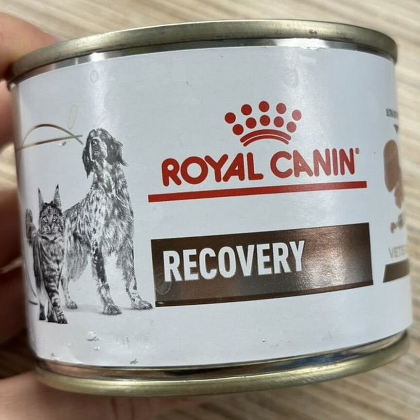 Корм для кошек royal canin recovery