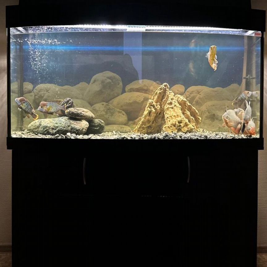 Аквариум с тумбой 300 литров