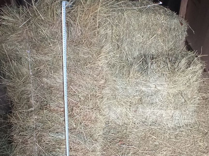 Сено в кипах