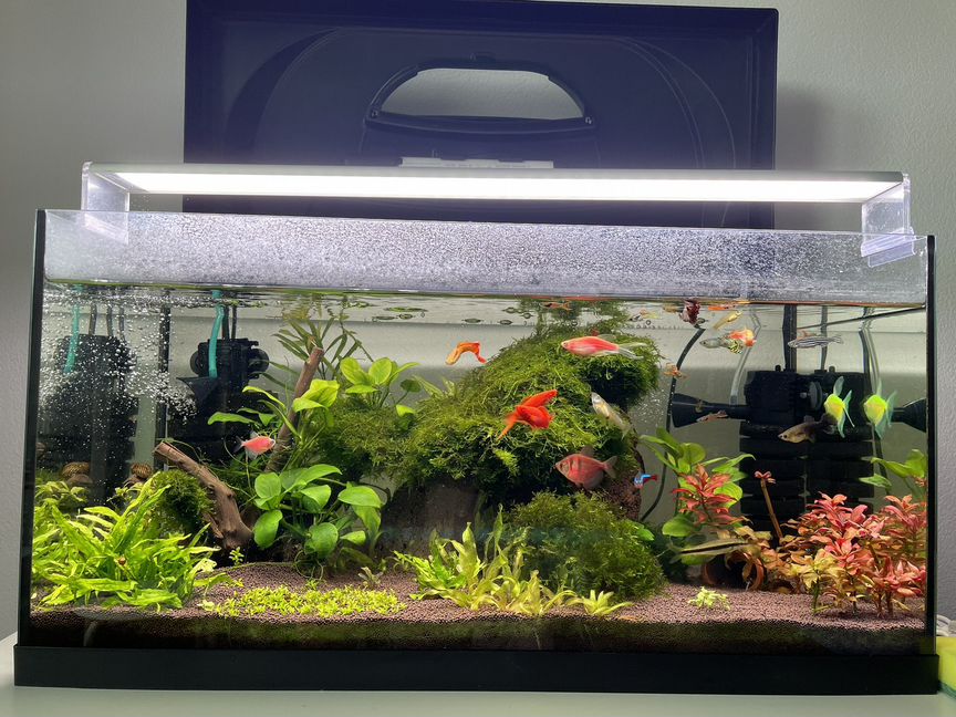 Аквариум с рыбами растениями и всем оборудованием
