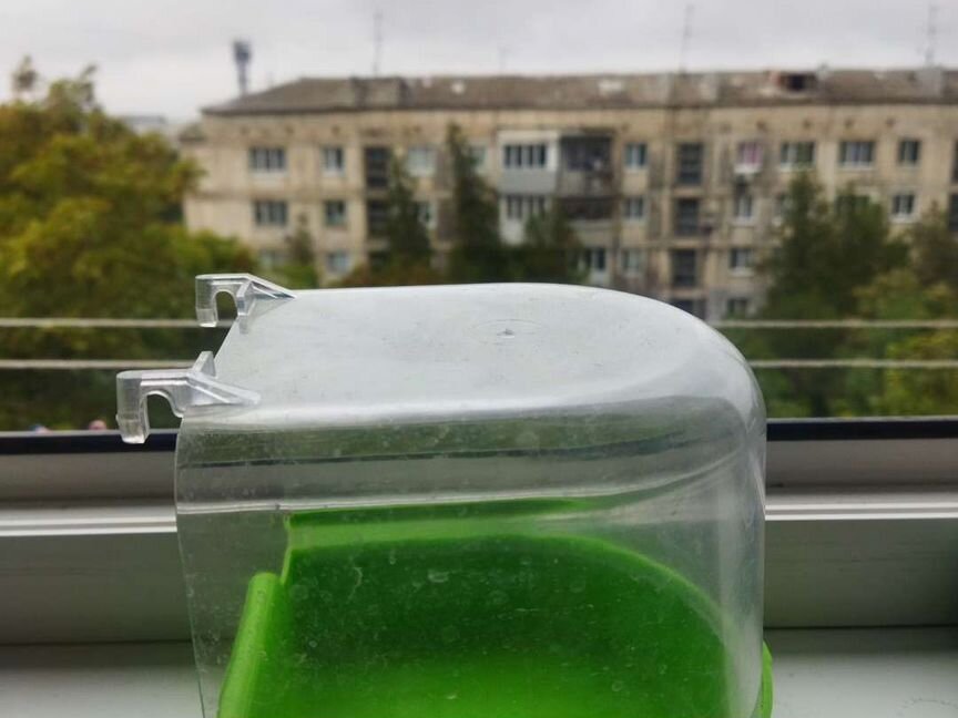 Купальня для попугая волнистого