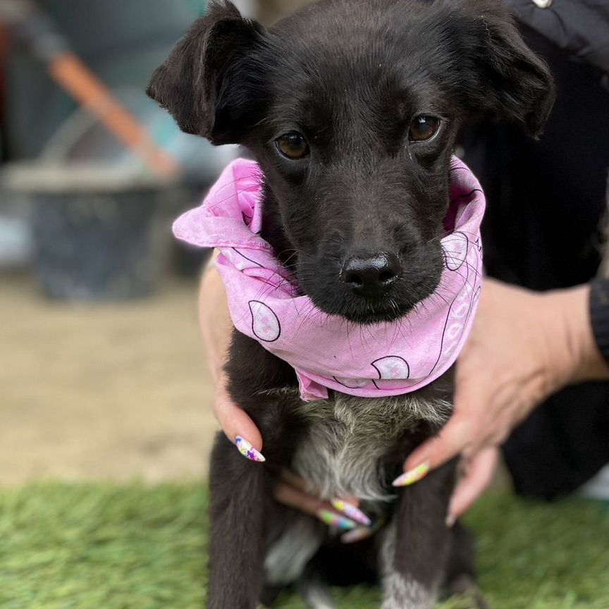 Мои глаза о многом скажут