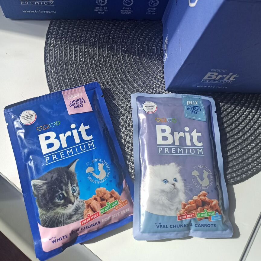 Корм для котят