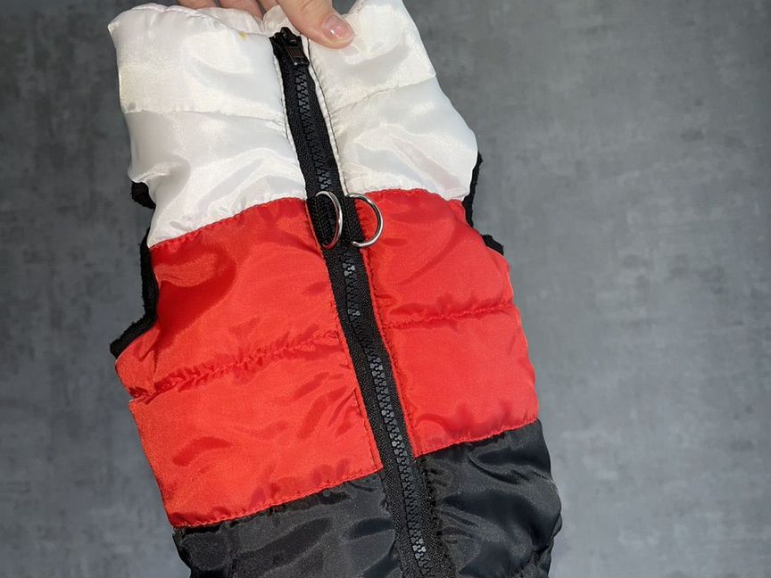 Аксессуары для собак чихуа