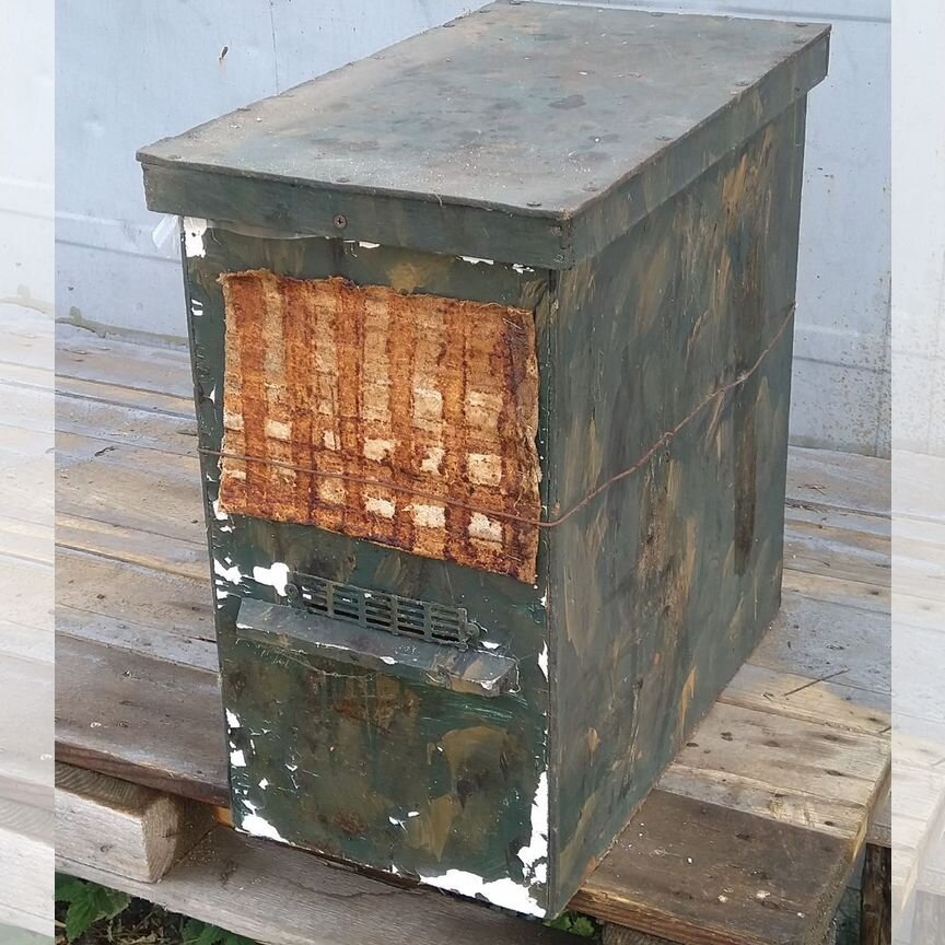 Ловушка для пчёл