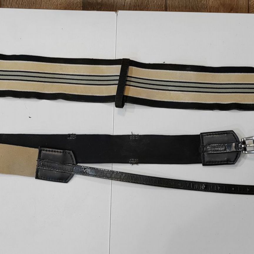 Скаковая подпруга и трок