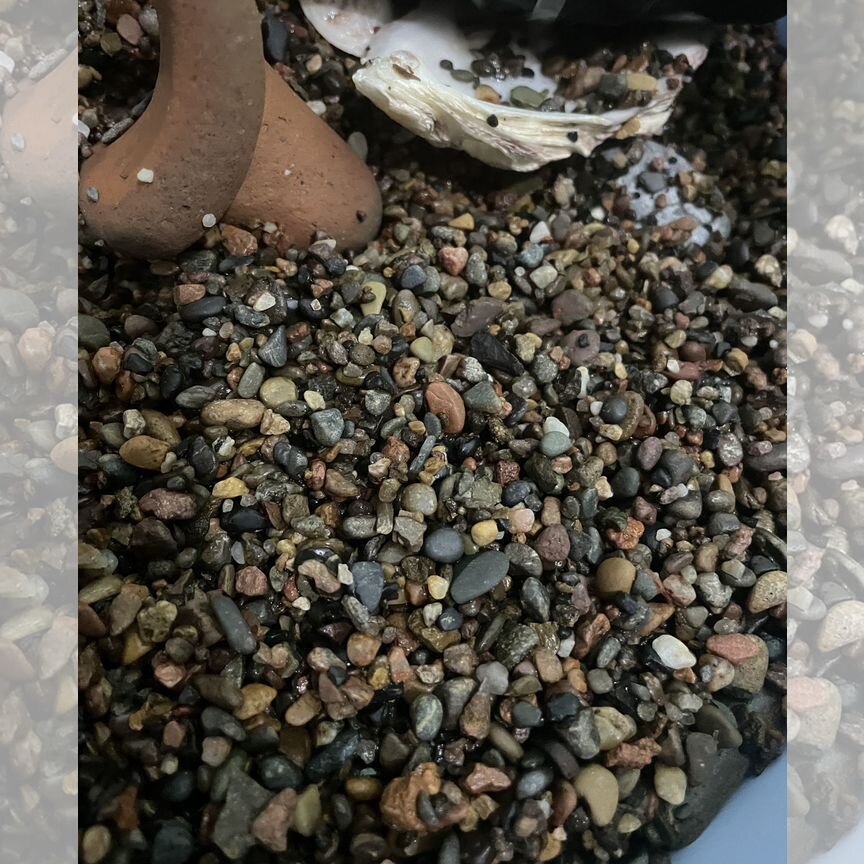 Грунт для аквариума