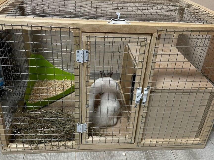 Клетка для кролика