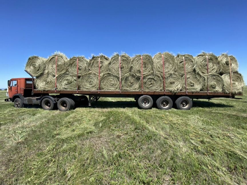 Сено,Солома Ячменная