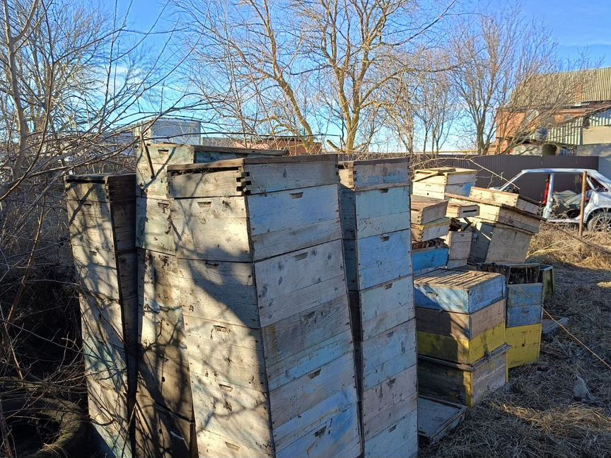 Улеи для пчел