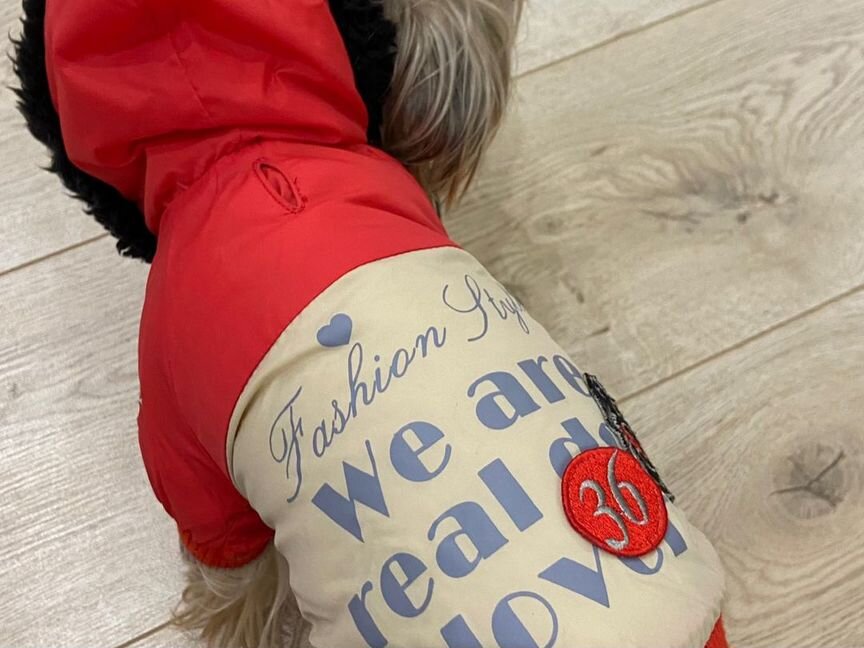 Жилетка для собак