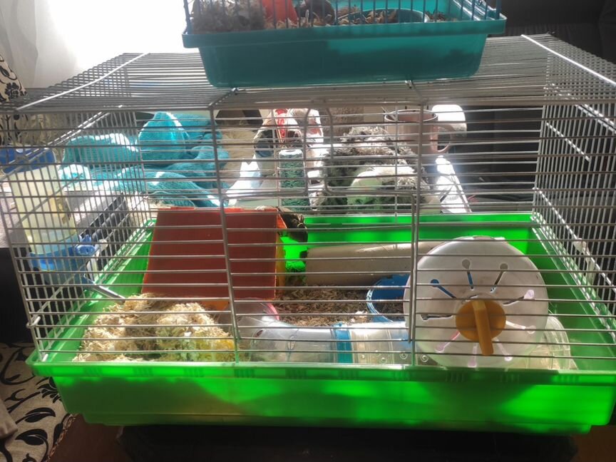 Клетка для хомячков