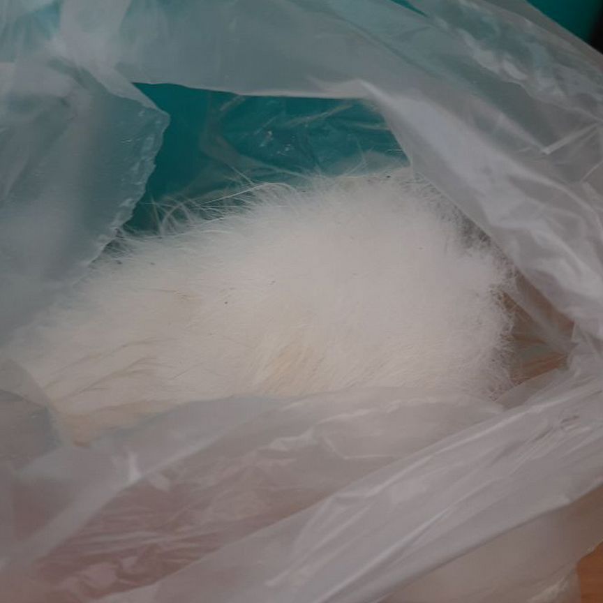 Корм для собак кроличьи лапы