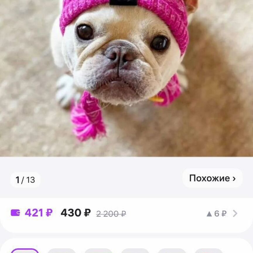 Шапка для собак мелких пород