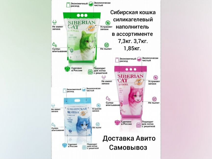 Сибирская кошка силикагелевый туалет для кошек