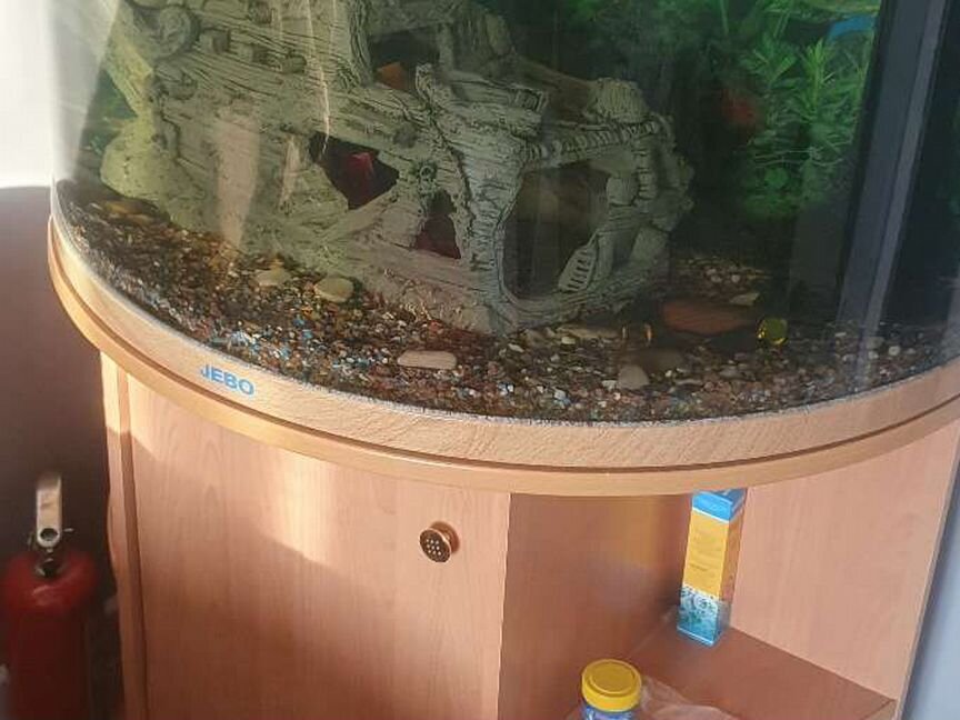 Аквариумные рыбки