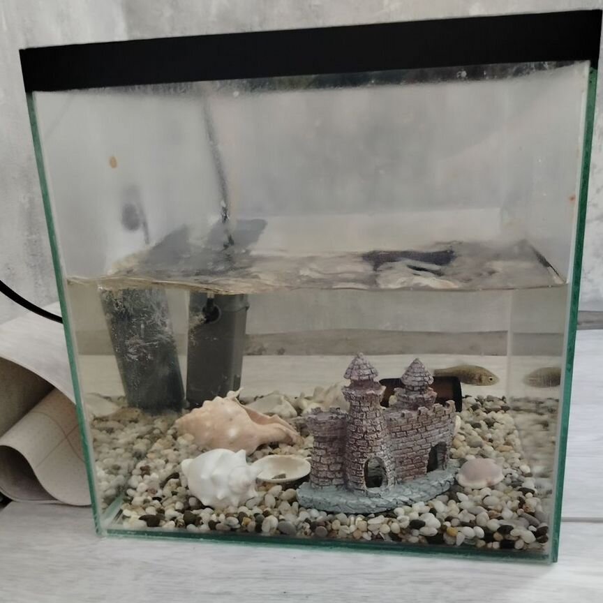 Аквариум 20 литров