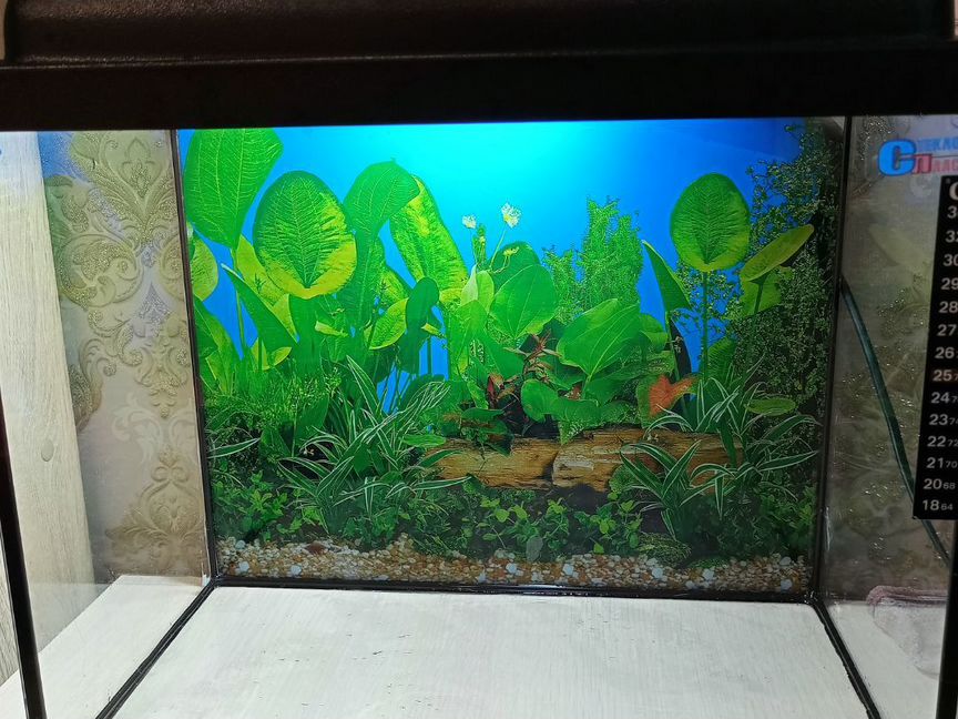 Аквариум 28 литров