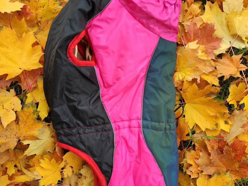 Одежда для большой и средней собаки