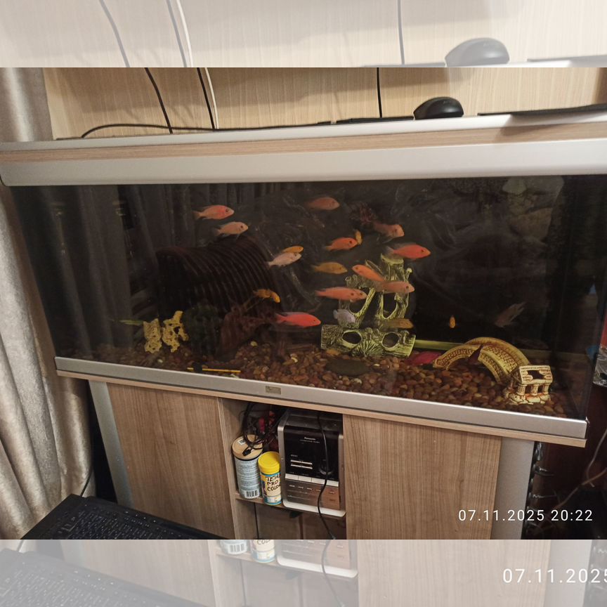 Аквариум aquatlantis ambiance 120