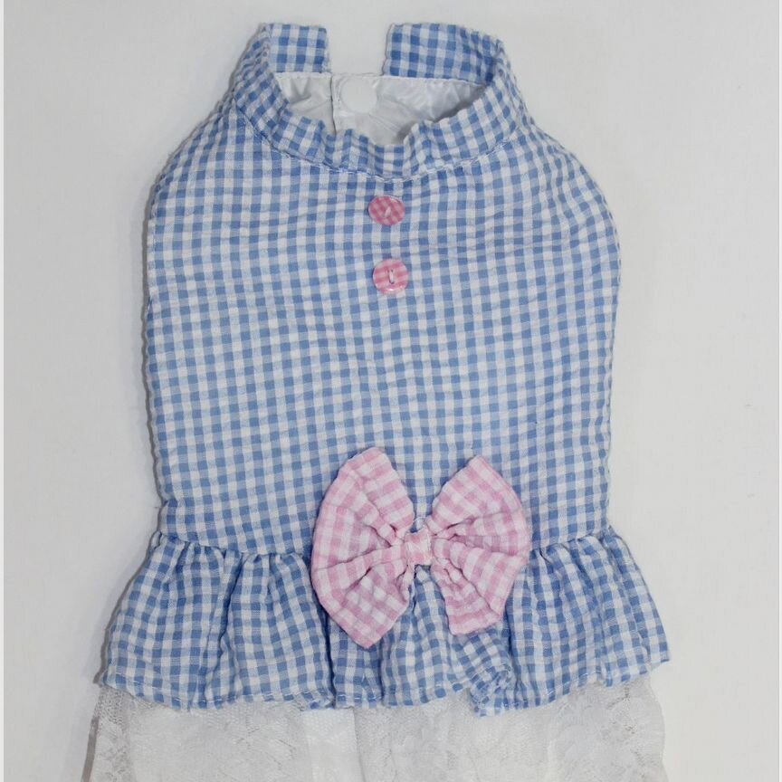 Одежда для собак